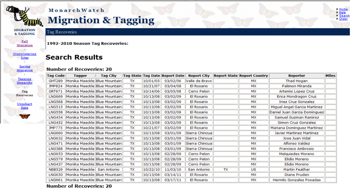 How to tag a Monarch butterfly in six easy steps – Texas Butterfly Ranch
