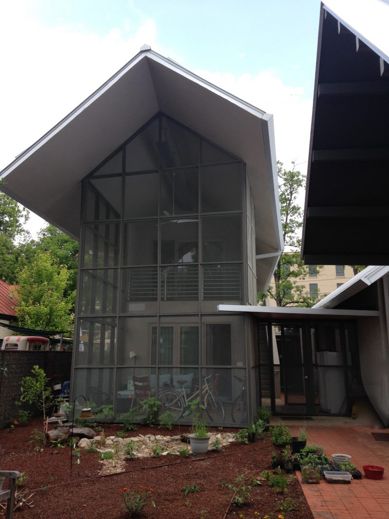 Coming soon: LIVE from the Mariposario, Dispatches from my Butterfly ...