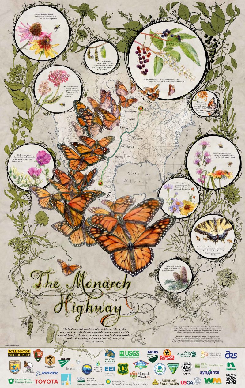 2017-Pollinator-Poster-Monarch-Highway – Texas Butterfly Ranch