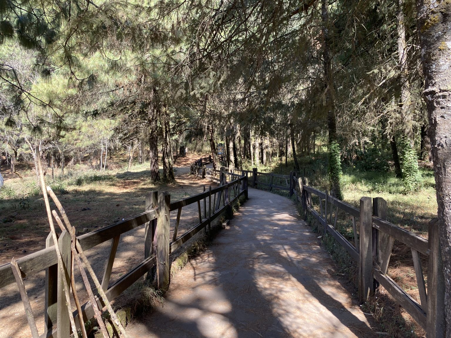 Courtship flights, slow departures define late season visit to Piedra ...