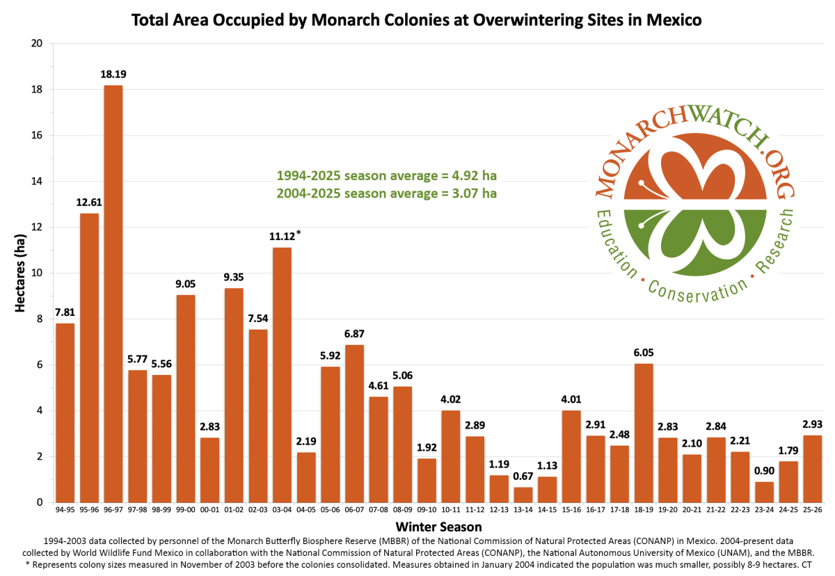 Migrating monarch butterfly population up 64% over last year – Texas ...